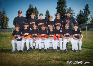 Baseball Gallery - Pro Shots