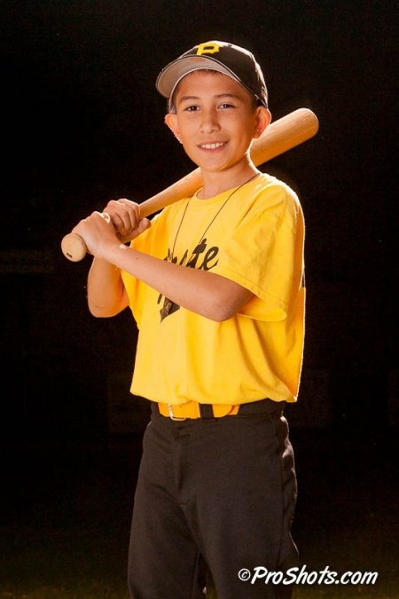 Baseball Gallery - Pro Shots