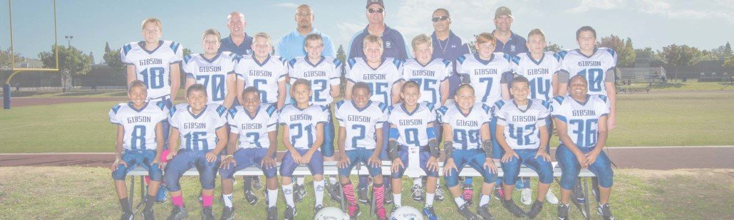 Sports Portraits and Action Shots For Teams and Individuals