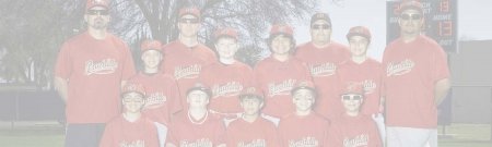 Sports Portraits and Action Shots For Teams and Individuals