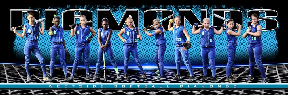 Team Banners - Pro Shots