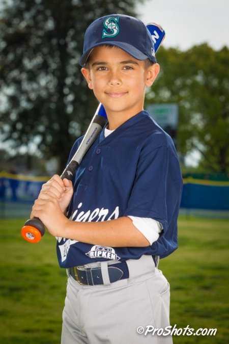 Baseball Gallery - Pro Shots